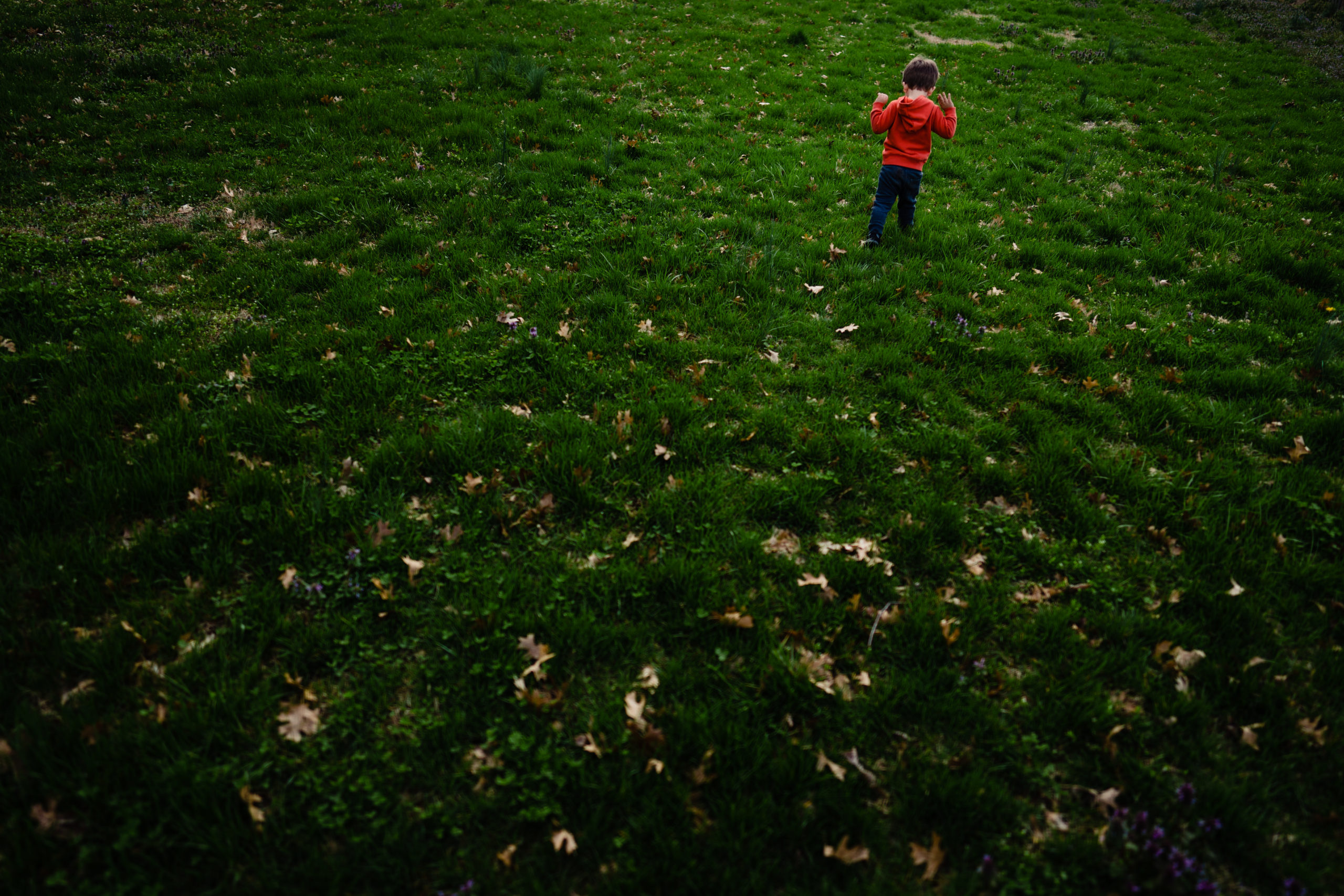 50 Days of Family Documentary During COVID-19 Self-Isolation
